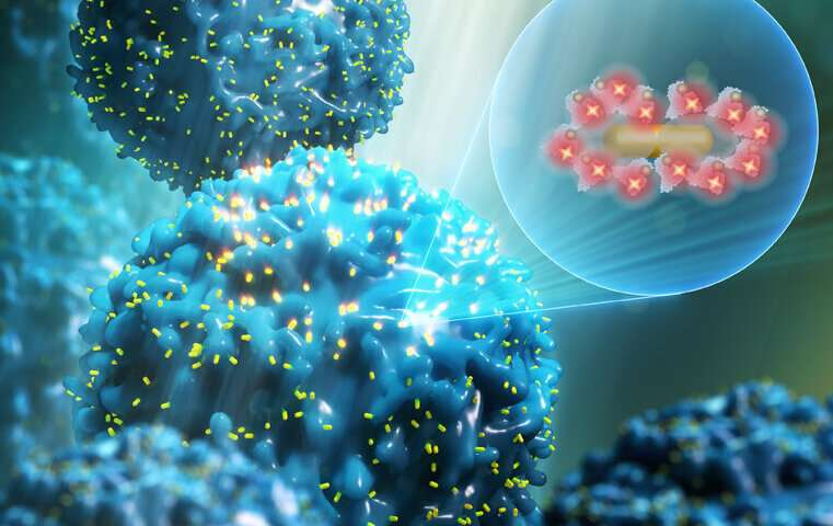 Team develops rapid SARS-CoV-2 test based on new plasmonic-fluor ...